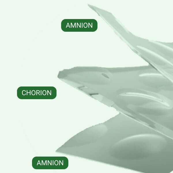 Synergy Biologics - Amniotic Tissue Allografts